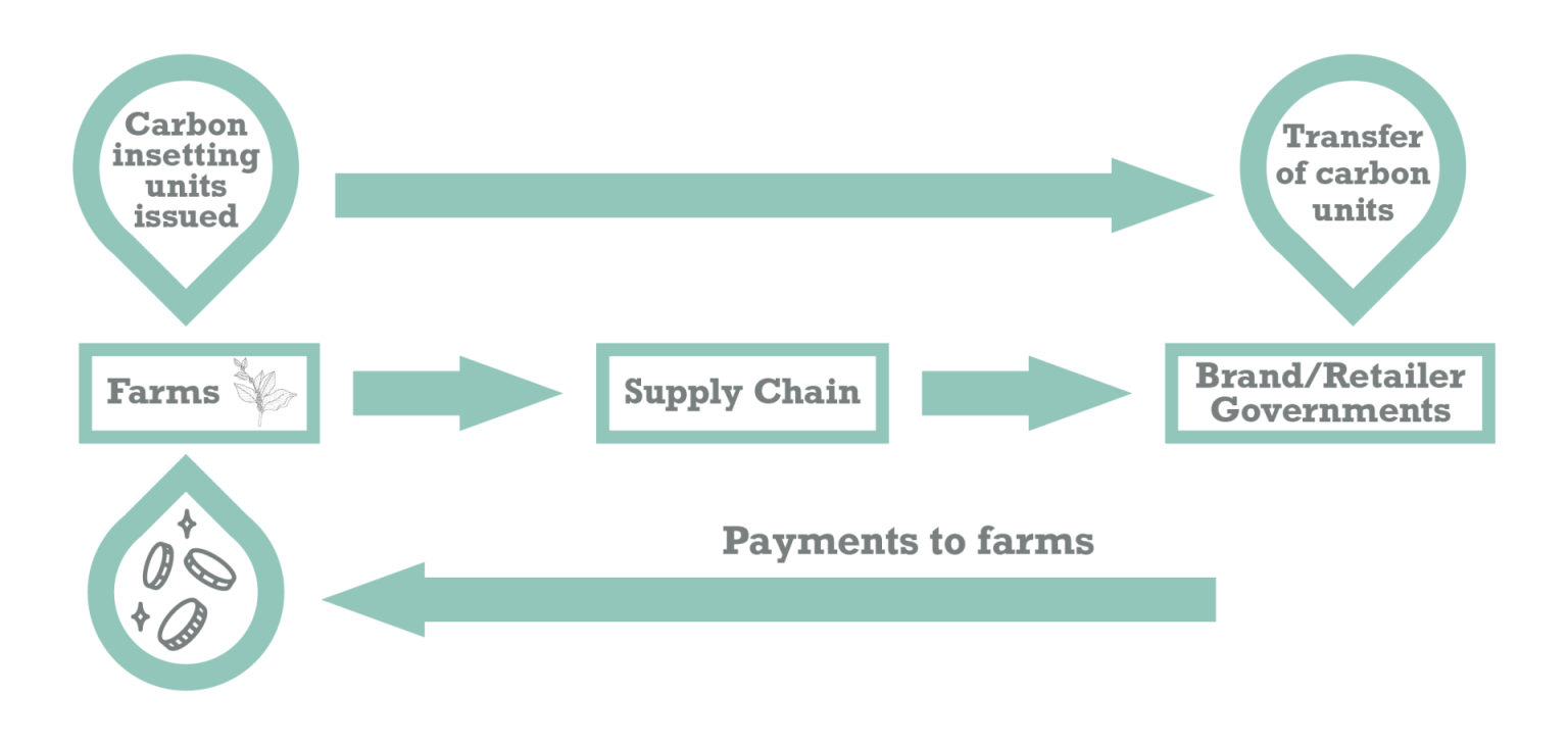 Regenagri carbon insetting programme — regenagri